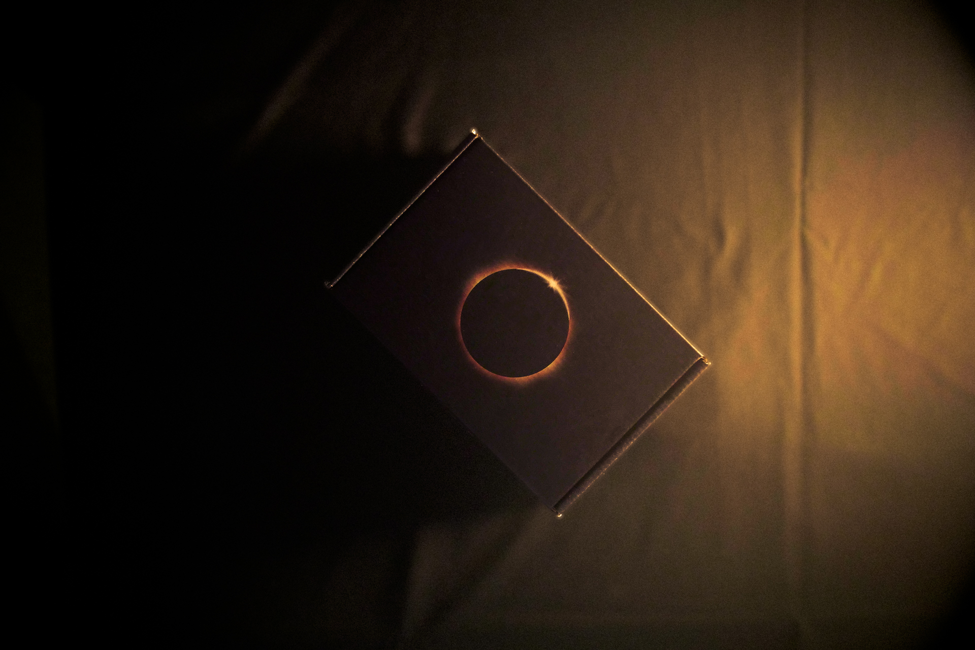 What Is Modern Marketing? - Rare Bird, Inc.